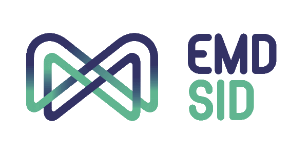 Software development EMD - Gesellschaft für rotor­dynami­sche Unter ...